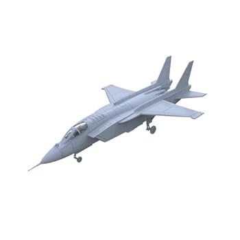 【中古】LFR144905 1/144 軍事モデルソ連ジャック-141バクー空母艦上戦闘機【メーカー名】【メーカー型番】【ブランド名】MRY-SFW 飛行機・ヘリコプター, おもちゃ ストア 【商品説明】LFR144905 1/144 軍事...