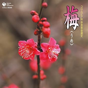 【中古】平成二十二年度(第四十六回)コロムビア全国吟詠コンクール 課題吟 梅【メーカー名】【メーカー型番】【ブランド名】コロムビアミュージックエンタテインメント 吟詠, 5%OFFクーポン対象商品_fixed, Music Album CD...