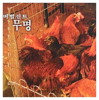 【中古】Verbal Jint 1集 - 無名(韓国盤)【メーカー名】【メーカー型番】【ブランド名】Media Synnara アジアンポップ, 5%OFFクーポン対象商品_fixed, Music Album CDs, クーポン使用可能商...