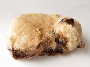【中古】ニニアンドキノ パーフェクトペット (小サイズ) シャム猫 ぬいぐるみ 猫 ねこ ネコ リアル 本物 そっくり 雑貨 動物 アニマル 癒し 動く プレゼント ギフト お祝い かわいい 猫のぬいぐるみ【メーカー名】【メーカー型番】【ブ...
