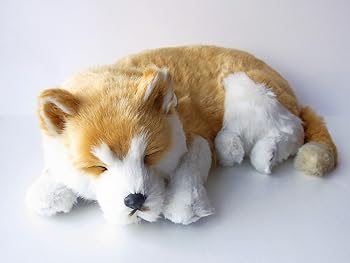【中古】ニニアンドキノ パーフェクトペット (大サイズ) 柴犬 ぬいぐるみ 犬 いぬ イヌ リアル 本物 そっくり 雑貨 動物 アニマル 癒し 動く プレゼント ギフト お祝い かわいい 犬のぬいぐるみ【メーカー名】【メーカー型番】【ブラン...