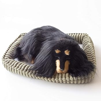 【中古】ニニアンドキノ パーフェクトペット (小サイズ) ダックス ロング (ブラックタン) ぬいぐるみ 犬 いぬ イヌ リアル 本物 そっくり ダックスフンド ダックスフント 雑貨 動物 アニマル 癒し 動く プレゼント ギフト お祝い ...