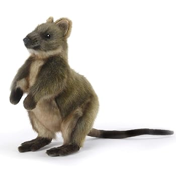 【中古】【未使用】BH7362 HANSA クアッカワラビー 22【メーカー名】【メーカー型番】【ブランド名】Hansa ぬいぐるみ人形, ぬいぐるみ, 2189188051 Plush, おもちゃ（在庫ありまたは注文可能）, 世界のおもち...