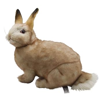 【中古】BH7797 HANSA ウサギ 35【メーカー名】【メーカー型番】【ブランド名】Hansa 動物, ぬいぐるみ, 2189188051 Plush, 世界のおもちゃ, おもちゃ ストア, Toys - AmazonGlobal f...