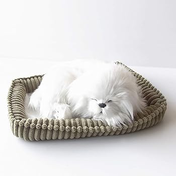 【中古】【未使用】ニニアンドキノ パーフェクトペット (小サイズ) マルチーズ ぬいぐるみ 犬 いぬ イヌ リアル 本物 そっくり 雑貨 動物 アニマル 癒し 動く プレゼント ギフト お祝い かわいい 犬のぬいぐるみ【メーカー名】【メーカ...