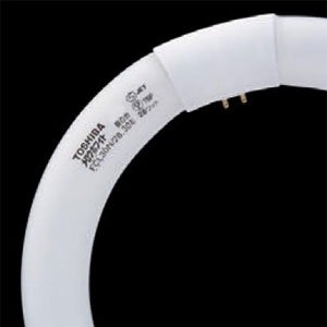 【状態】中古品（非常に良い）【メーカー名】東芝【メーカー型番】【ブランド名】東芝 TOSHIBA 掲載画像は全てイメージです。実際の商品とは色味等異なる場合がございますのでご了承ください。【 ご注文からお届けまで 】・ご注文　：ご注文は24...