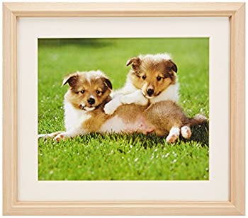 【状態】中古品（非常に良い）【メーカー名】フジカラー【メーカー型番】47023【ブランド名】フジカラー掲載画像は全てイメージです。実際の商品とは色味等異なる場合がございますのでご了承ください。【 ご注文からお届けまで 】・ご注文　：ご注文は...