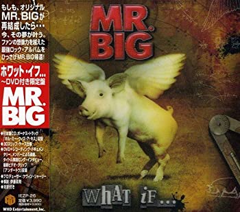 【メーカー名】WHDエンタテインメント【メーカー型番】【ブランド名】Whd Entertainment掲載画像は全てイメージです。実際の商品とは色味等異なる場合がございますのでご了承ください。【 ご注文からお届けまで 】・ご注文　：ご注文は...