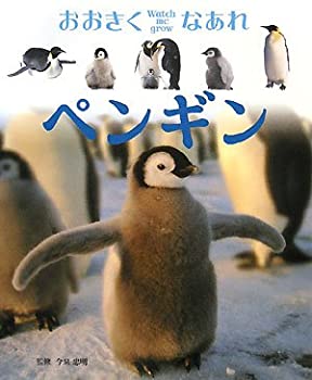 【メーカー名】フレーベル館【メーカー型番】【ブランド名】掲載画像は全てイメージです。実際の商品とは色味等異なる場合がございますのでご了承ください。【 ご注文からお届けまで 】・ご注文　：ご注文は24時間受け付けております。・注文確認：当店よ...