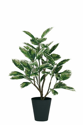 商品番号 sg91878b 商品説明 人工の観葉植物です。 ※ 一点ずつ手作業による組み立てのため、わずかに形の変化があることや、すべてが全く同じ位置、配列でない場合がございます。またモニターの環境により色の見え方が実物より少し異なる場合が...