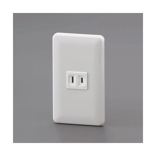 エスコメーカーお問い合わせ：06-6532-6226●型式…WNP1001MWP●定格容量…15A・125V●サイズ…70(W)×29(D)×120(H)mm●差込口…1個