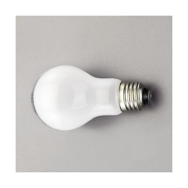 ●口金…E26●電圧…100V●定格寿命…2，000時間●光色…電球色●種別…60形●消費電力…60W●全光束…810lm