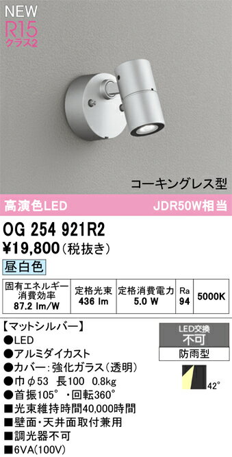 OG254921R2OG254921R2屋外灯 スポットライト LED電気工事必要 畳数設定無し