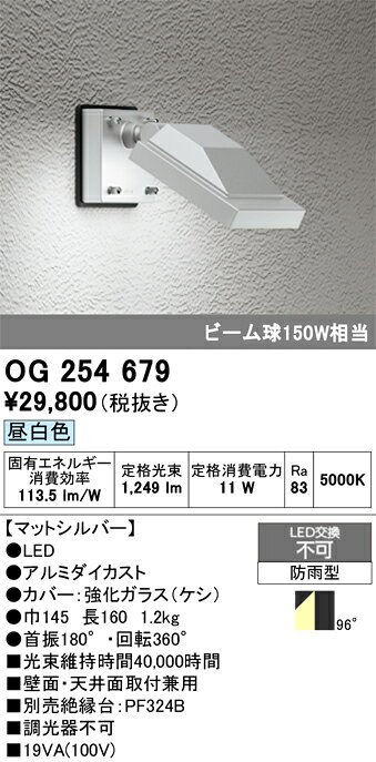OG254679OG254679屋外灯 スポットライト LED 自動点灯無し電気工事必要 畳数設定無し