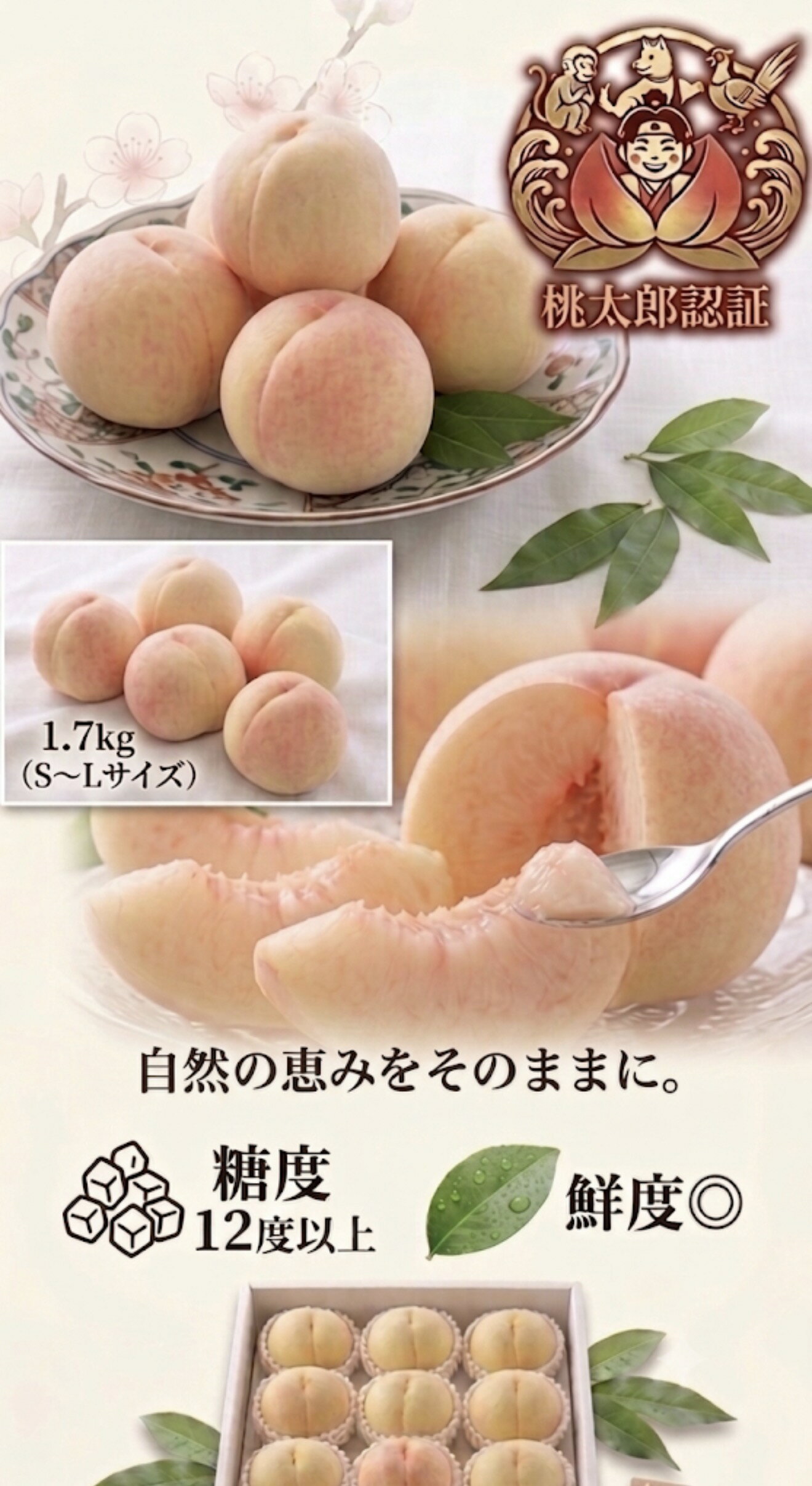 岡山産 白桃 訳あり 1.7キロ 5〜9玉入り （ふぞろいパック）晴れの国・岡山が育てた、溢れる果汁の贅沢白桃をご自宅用 限られた時期だけの、特別な贅沢（白鳳、清水白桃、おかやま夢白桃、川中島白桃、白皇など） 岡山の大自然がくれた、食べ頃の...
