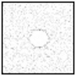 ・フィルターを自由にスライド、回転できるので、ハーフグラデーションフィルターの使用に大変便利。・フィルターの交換がワンタッチでスピーディ。・1枚のフィルターが、アダプターリングの交換で様々なレンズに装着でき、大変経済的。■超軽量な光学樹脂素...