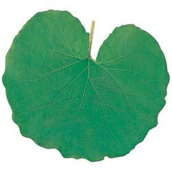 ■安全性を高めるために、印刷柄を両面OPフィルムでラミネート加工し、臨場感あふれる自然のままの葉形に切り抜き加工をしております。■趣のある風情を演出する時に最適です。型抜きクリアシート（200枚入） 65781 ミニ・ふき