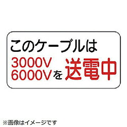 ■電気工事に伴う注意喚起用標識です。■摘要：穴4スミ■寸法(mm)：150×300×1厚■内容：このケーブルは3000V/6000Vを送電中■寸法(mm)：150×300×1厚■内容：このケーブルは3000V/6000Vを送電中■エコユニボ...