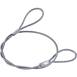 ■両端アイ加工済みですぐに使えます。■細くても強度があり目立ちません。■キャップやカバーなどの紛失防止の連結金具に。■看板などの吊り下げ。■ロープ径(mm)：0.36■長さ(mm)：900■使用荷重(kg)：3.0■ワイヤ構成：1×19■ワ...