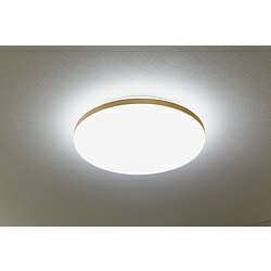 ・部屋に馴染む木目調デザイン?。ナチュラルウッド色になっており?、他の家具との一体感を演出?。・演色性Ra:93と高い数値を実現?。より太陽光に近い明りを放つことで、物本来の色味がくっきり見やすくなる?。・調光は10段階、調色は11段階?。...
