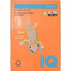 サイズA4一片サイズ210x297mm入数250枚印刷対応面(プリンタ用紙)両面仕様1［対応プリンタ］レーザープリンタ、コピー、インクジェット、ワープロ仕様2［厚さ］120g/m2（約0.159mm）［素材］FSC認証紙120g/m2 A4...
