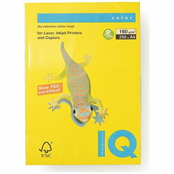 両面印刷対応の高品質中性紙。洗練されたヨーロピアンカラーの色調は強いインパクトと心に残る印象を与えます。特に招待状やチラシ作成等にお奨めです。【注意事項】マルチファンクションペーパーですが、インクジェットの場合、インクジェット専用紙よりパフ...