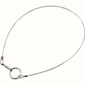 サビに強いステンレス製ワイヤの両端にリングとフックが付いています。バルブ表示札などの設置に簡単・便利です。バルブ表示札などの設置に。径(mm)：0.8長さ(mm)：400フック・リング各1個付きセット商品：10本1組ワイヤ：ステンレス製造国...