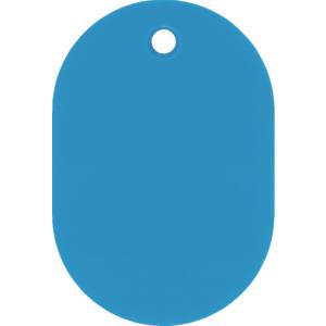 キーホルダーや番号札に最適です。色を組み合わせてご使用ください。分類・整理等における表示用名札として。色：スカイブルー縦(mm)：60横(mm)：40厚さ(mm)：2.5穴径(mm):4穴1ヵ所(4mmφ‐1)取付方法:ボールチェーン等(別...