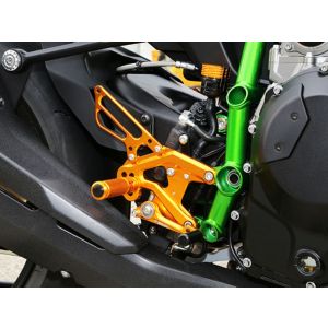 ステップ位置は5ヶ所から選択していただける設計です。 シフトパターンは、サーキット走行等も考慮し、正、逆の2モデルをご用意いたしました。 カラーはブラック、ゴールドです。また、オプションパーツとしてシフトスピンドルホルダーも用意いたしました...