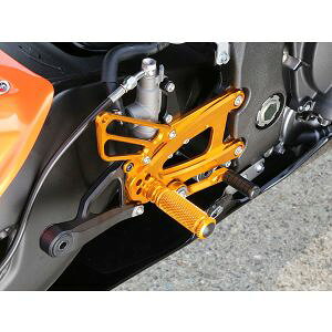 コンパクトな車体を考慮し、シンプルなシングルプレート仕様を採用しながらも、ステップ位置は5ヶ所から選択していただけるように設計いたしました。設定は街乗りからワインディング、そして軽めのスポーツ走行までをカバーいたします。また、シフトパターン...