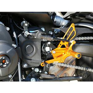 MT09 用のバックステップキット、逆シフトパターンモデルです。 街乗りからスポーツ走行まで、様々な走行シーンを考え、ノーマルシフトパターンモデルと、逆シフトパターンモデルをご用意いたしました。ステップ位置を8ヶ所(逆パターンは6ヶ所)から...
