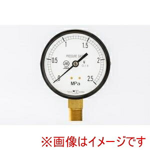 JIS B 7505ブルドン管圧力計規格に基づいて製作される基本圧力計です。耐久性にも優れています。蒸気に使用できます。圧力レンジ(MPa)：0.0〜0.16最小目盛(MPa)：0.005呼称：ST AM R3/8 75×0.16MPa S...