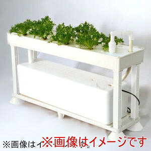 草丈が30cm程度の葉もの野菜や観葉植物の栽培に向いており、最大25株の苗を植えられます。レタスやハーブ類といったさまざまな植物の同時栽培もお楽しみいただけます。液肥容量(約):15L。消費電力:8W(50/60Hz)。付属品:ハイポニカ液...