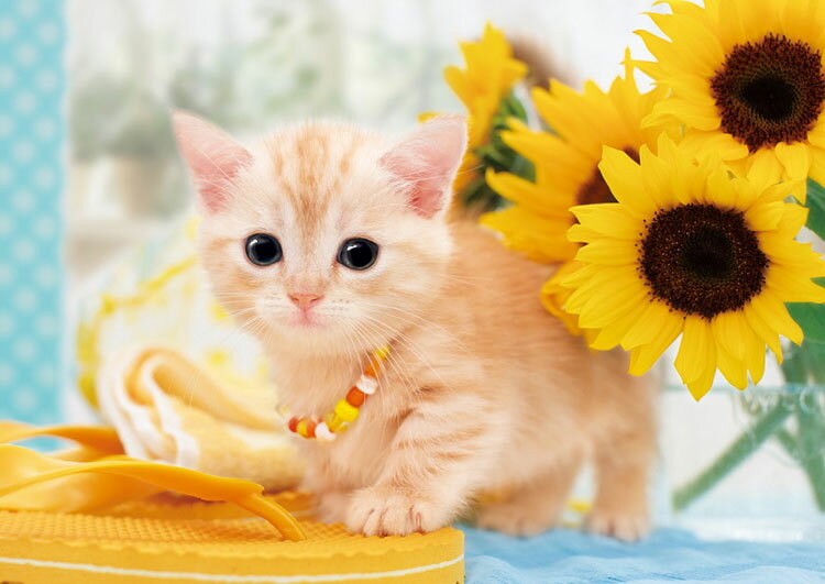 商品名ねこのなつやすみ ピース数108 ピースサイズ通常ピースサイズ サイズ18.2×25.7cm 品 番EPO-01-057 メーカーエポック社 商品説明マンチカンとひまわりの108ピースジグソーパズル！ マンチカンは短い足が特徴的で、ジ...