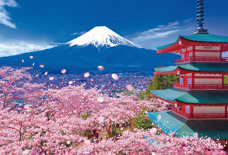 商品名春の富士と浅間神社 ピース数1000 ピースサイズ通常ピースサイズ サイズ49×72cm 品 番BEV-1000-138 メーカービバリー 商品説明ジグソーパズルで楽しめる全国屈指の桜の名所 美しい富士と五重塔を桜吹雪が彩る(山梨) ...