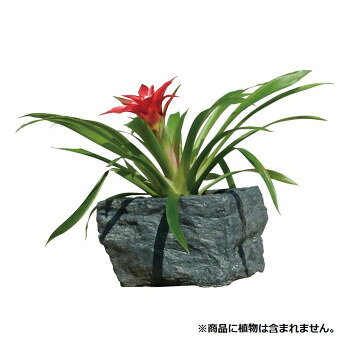 ■北海道・沖縄・離島へのお届けは別途送料を請求させていただきます。 ■製品の仕様・画像・パッケージは、変更される場合があります。 ■当店では在庫をメーカーと共有しており、商品によっては欠品の場合がございます。 　万一、ご注文頂きました商品が...