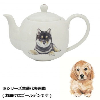 ■北海道・沖縄・離島へのお届けは別途送料を請求させていただきます。 ■製品の仕様・画像・パッケージは、変更される場合があります。 ■当店では在庫をメーカーと共有しており、商品によっては欠品の場合がございます。 　万一、ご注文頂きました商品が...