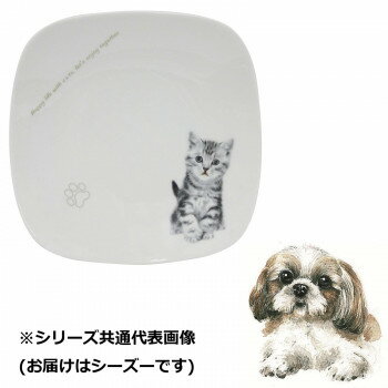 ■北海道・沖縄・離島へのお届けは別途送料を請求させていただきます。 ■製品の仕様・画像・パッケージは、変更される場合があります。 ■当店では在庫をメーカーと共有しており、商品によっては欠品の場合がございます。 　万一、ご注文頂きました商品が...