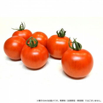 ■北海道・沖縄・離島へのお届けは別途送料を請求させていただきます。 ■製品の仕様・画像・パッケージは、変更される場合があります。 ■当店では在庫をメーカーと共有しており、商品によっては欠品の場合がございます。 　万一、ご注文頂きました商品が...