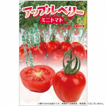 ■北海道・沖縄・離島へのお届けは別途送料を請求させていただきます。 ■製品の仕様・画像・パッケージは、変更される場合があります。 ■当店では在庫をメーカーと共有しており、商品によっては欠品の場合がございます。 　万一、ご注文頂きました商品が...