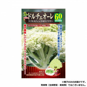■北海道・沖縄・離島へのお届けは別途送料を請求させていただきます。 ■製品の仕様・画像・パッケージは、変更される場合があります。 ■当店では在庫をメーカーと共有しており、商品によっては欠品の場合がございます。 　万一、ご注文頂きました商品が...