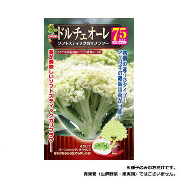■北海道・沖縄・離島へのお届けは別途送料を請求させていただきます。 ■製品の仕様・画像・パッケージは、変更される場合があります。 ■当店では在庫をメーカーと共有しており、商品によっては欠品の場合がございます。 　万一、ご注文頂きました商品が...