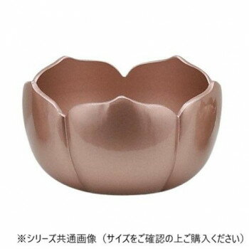 ■北海道・沖縄・離島へのお届けは別途送料を請求させていただきます。 ■製品の仕様・画像・パッケージは、変更される場合があります。 ■当店では在庫をメーカーと共有しており、商品によっては欠品の場合がございます。 　万一、ご注文頂きました商品が...