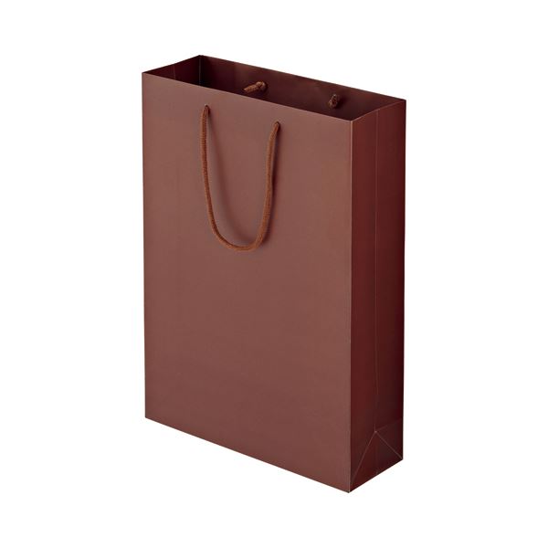 ■サイズ・色違い・関連商品関連商品の検索結果一覧はこちら■商品内容【ご注意事項】・この商品は下記内容×2セットでお届けします。マット(つや消し)PP貼りの高級感のある手提袋。■商品スペックサイズ：L色：ブラウン寸法：幅320×マチ幅110×...