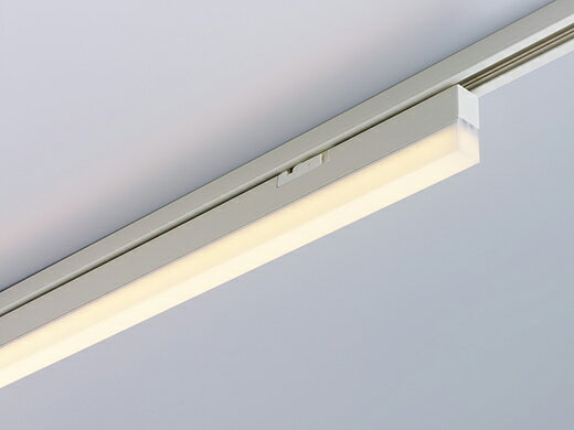 メーカー： DNL / DNライティング　 (旧ダイア蛍光 DAIA 旧ニッポ電機 NIPPO) シリーズ名：TRIM LINE　LED照明器具　ライティングダクトタイプ　TRE2-DP ※LEDにはバラツキがあるため、発光色、明るさが異な...