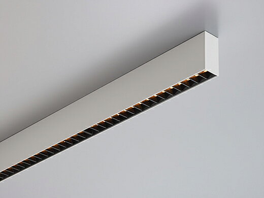 メーカー： DNL / DNライティング　 (旧ダイア蛍光 DAIA 旧ニッポ電機 NIPPO) シリーズ名：TRIM LINE　LED照明器具　TIEG-APL ※以下のオプション品は別途必要です。 ≪電源コード≫ 接続コードDK2P25...