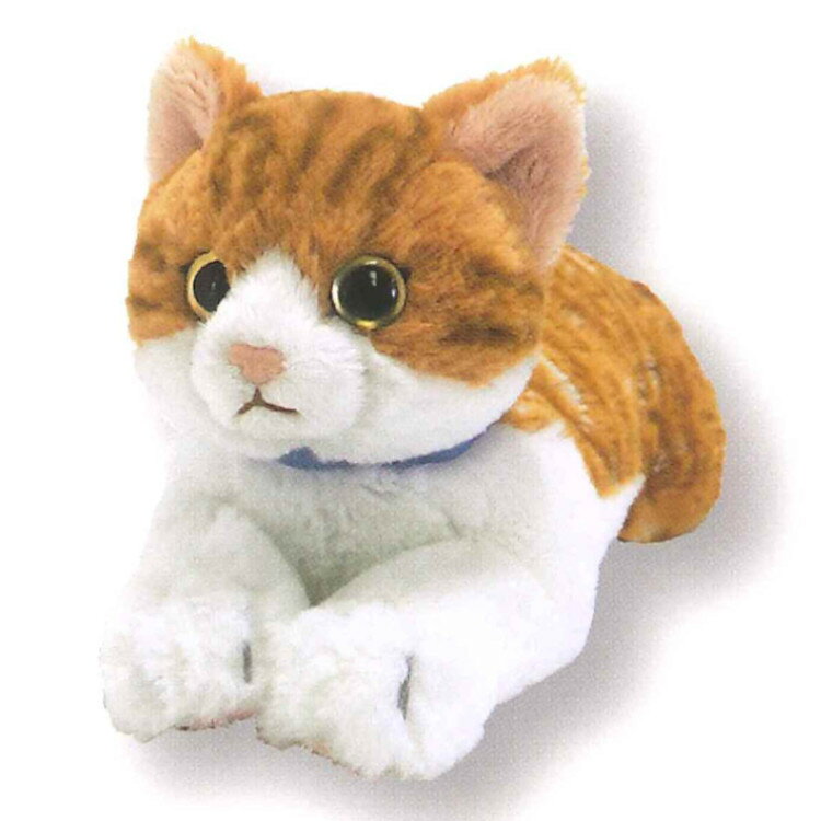 商品説明 〔ひざねこ〕 人気のひざねこから、Sサイズのチャシロのひざねこが登場です！ひざねこはしっとりした程よい重さのある猫のぬいぐるみ♪ お膝にのせてほっこりしたりポーズをとらせて飾ったり♪ 本物の猫のお腹のような柔らかな素材で手触り抜群...