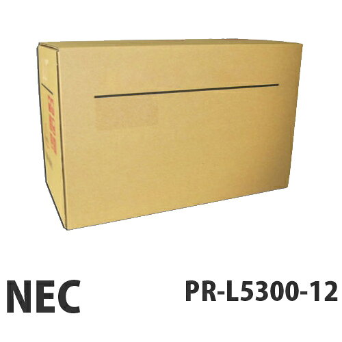 対応機種： MultiWriter5300/PR-L5300■商品詳細メーカー名：NEC印字枚数目安：5500枚購入単位：1本配送種別：別送品 代引不可 返品不可 配送日時指定不可 ※商品はメーカーより直送させて頂くため、代金引換でのご注文...