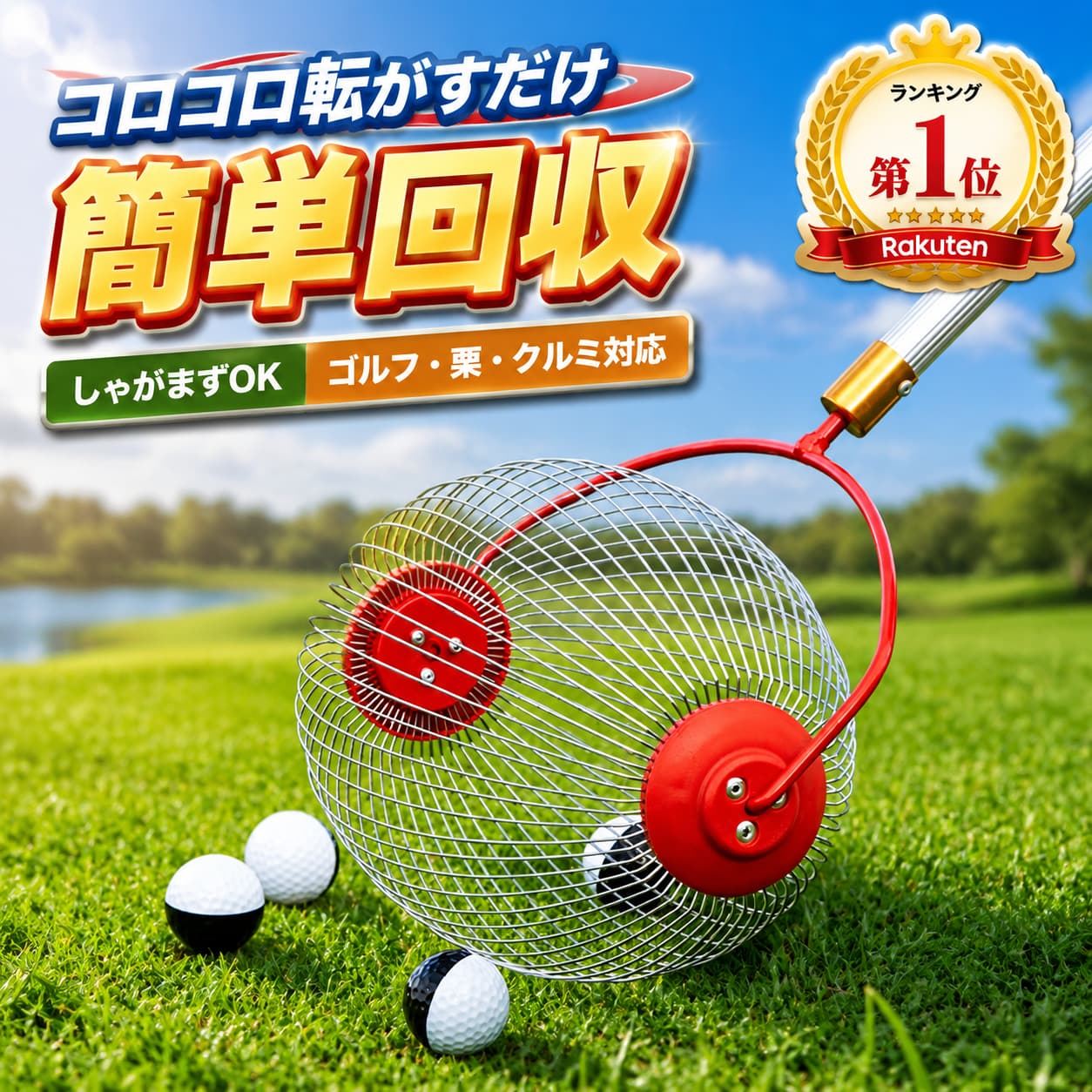 コロコロ転がすだけで、球拾い・木の実拾いがスムーズに ゴルフボール／テニスボール／卓球ボール／栗／クルミ などに対応（直径3・7cm） 商品のポイント ● 芝生の上を掃除機やモップのように転がすだけで、簡単に回収できます。 ● 中腰になる必...