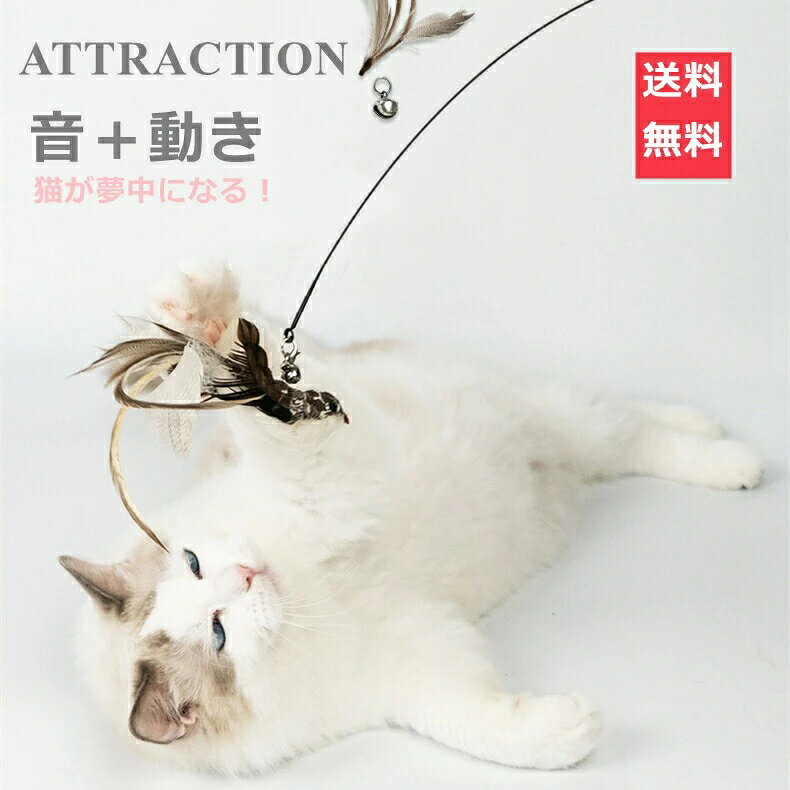 猫おもちゃ 猫じゃらし 天然羽根 じゃれ猫 ストレス解消 ねこじゃらし 猫のおもちゃ 釣り竿 人気 猫の大好物 ペット用品 送料無料（北海道 沖縄 離島を除く）運動不足解消 運動不足対策 ストレス解消 送料無料~【楽しい猫のおもちゃ】最新の...